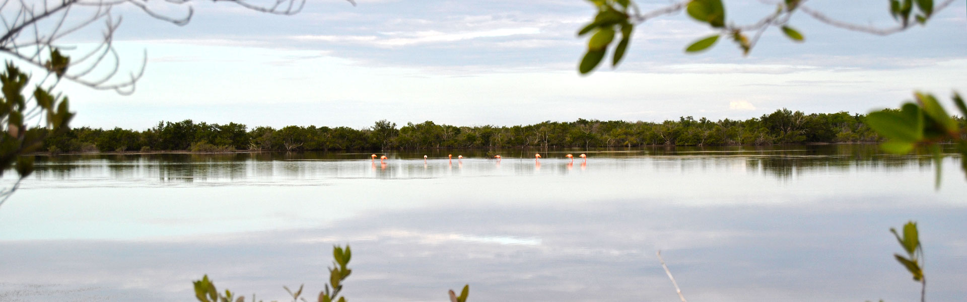 Las Mejores excursiones en Cuba : Las Salinas - Hotelcuba.com